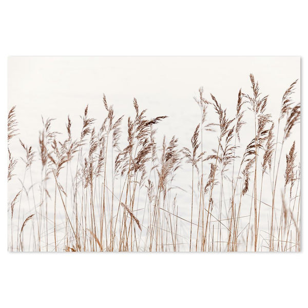 Coastal Reed Canvas Art Framed Print – Musa Canvas